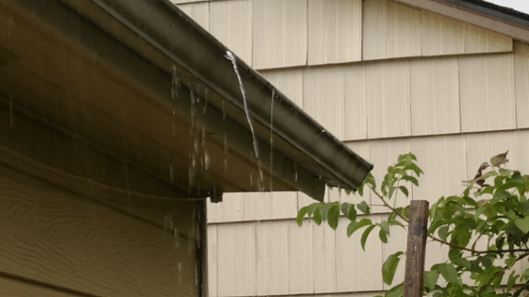 Checking your Gutters | Portland, OR | (971) 666-1184 | Check It Out ...